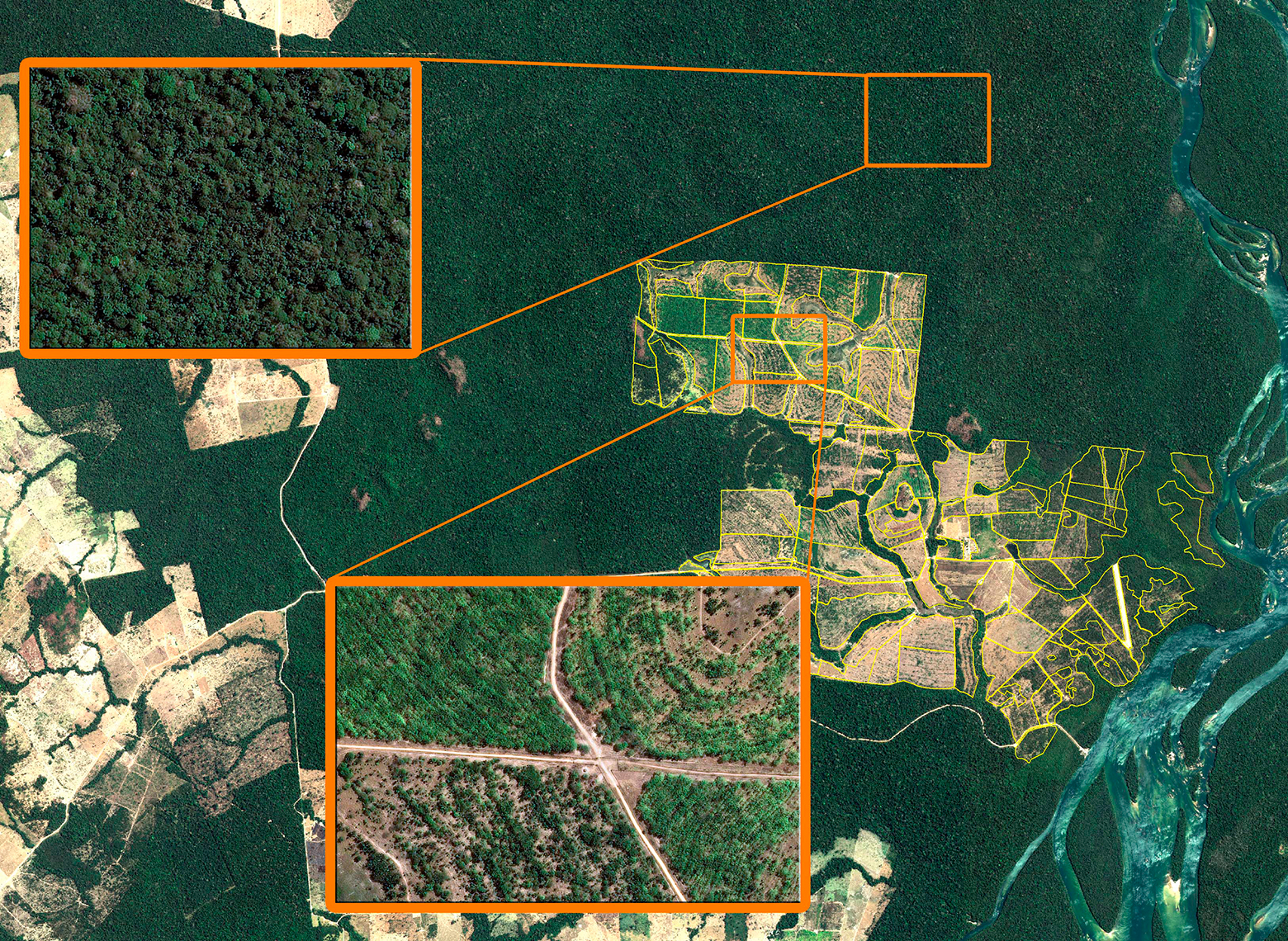 Forests : Airbus Defence and Space